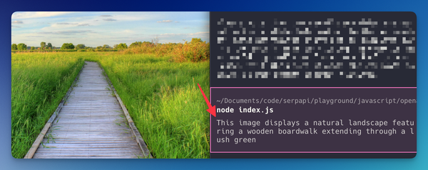 Image Data Parsing From Image To Data Using Vision Api